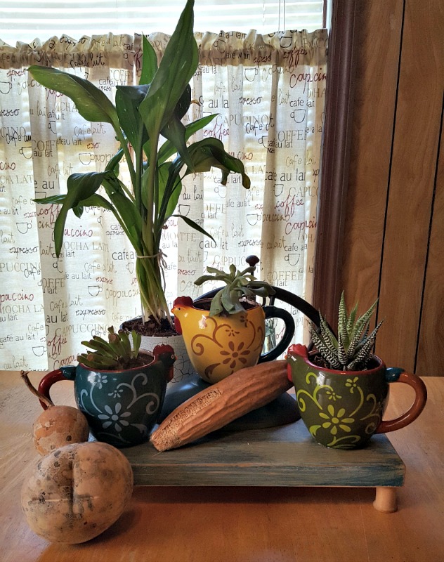 DIY Planter with Funky Chicken Coffee Cups - Teadoddles