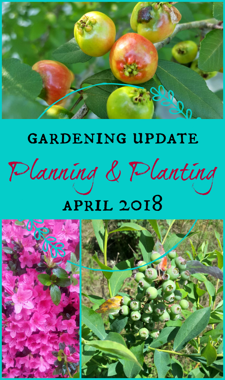 Gardening Update ~ April 2018: Planning to Plant - Teadoddles