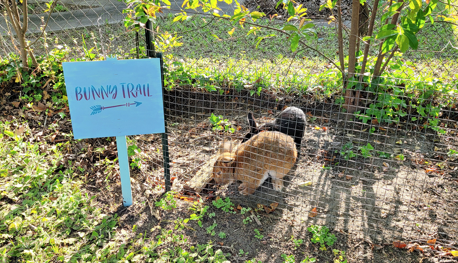 Bunny Trail Sign with Stencil Revolution - Teadoddles