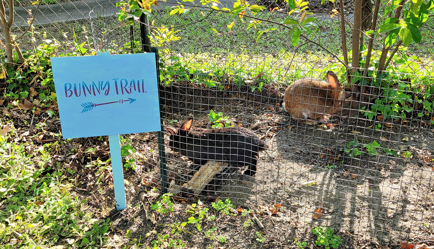 Bunny Trail Sign with Stencil Revolution - Teadoddles